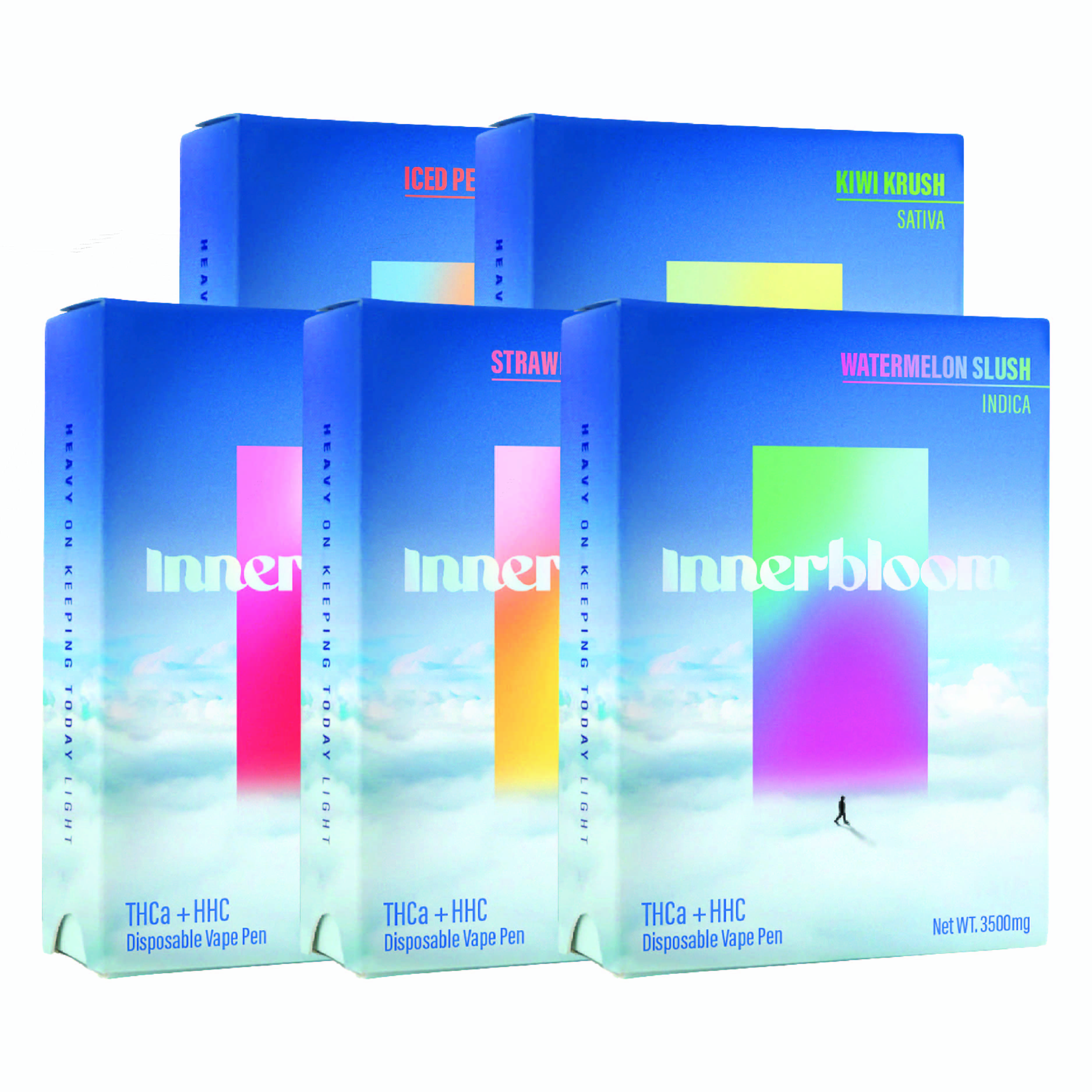 Colección de artículos desechables 3.5G: explore toda la colección – Innerbloom